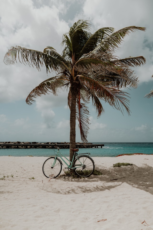 Klimaat van Curaçao: Algemene informatie over het weerpatroon - Curaçao ...